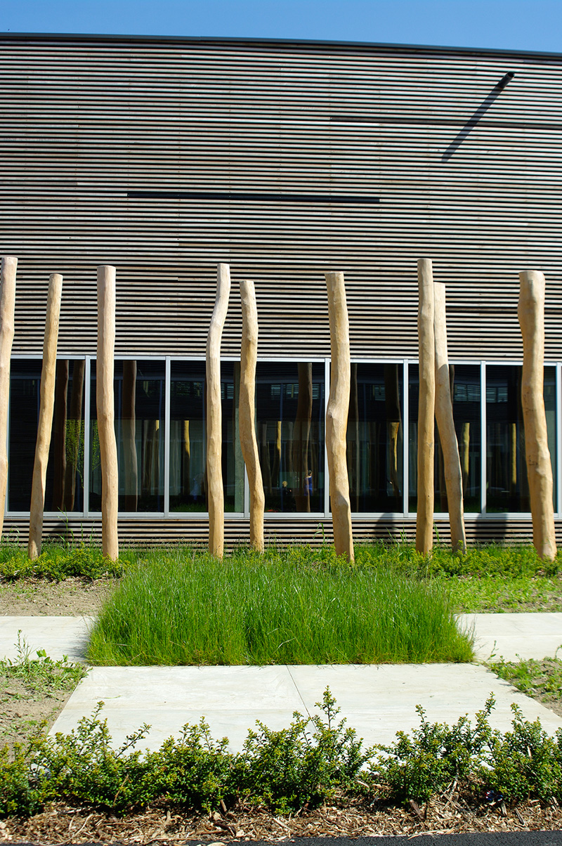 ABORDS DU GROUPE SCOLAIRE BRIAND BUISSON NADAUD A LILLE