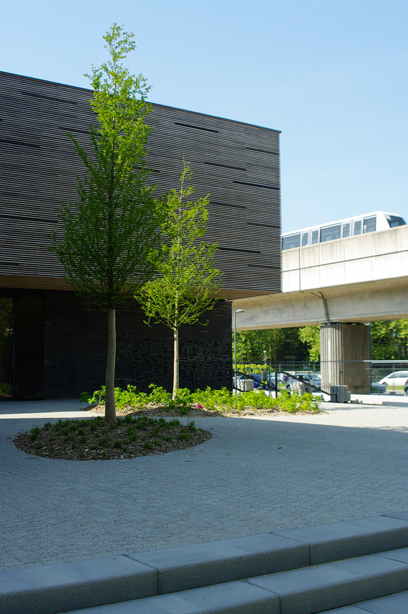 ABORDS DU GROUPE SCOLAIRE BRIAND BUISSON NADAUD A LILLE